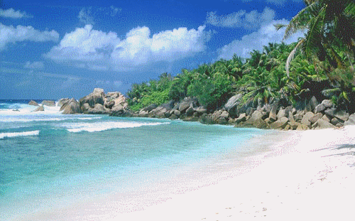 Steve Dave: Goa Magic