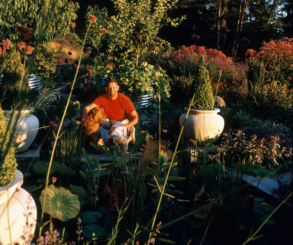 paradis express: David Pfeiffer