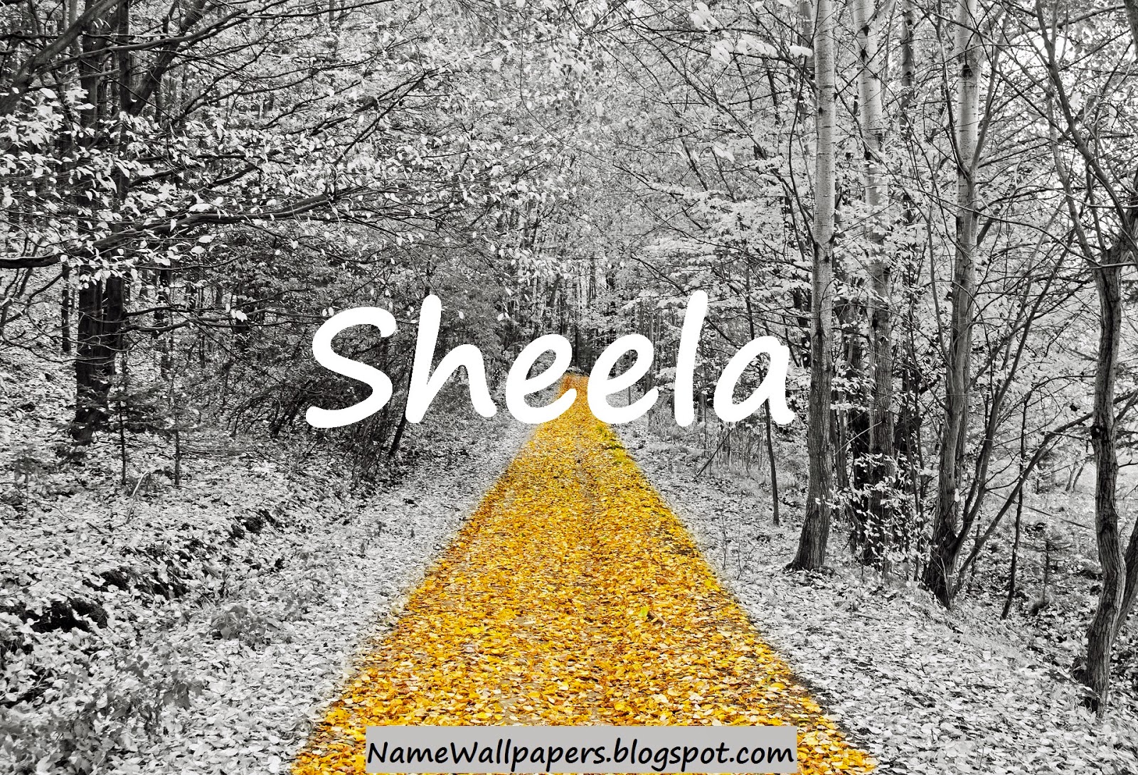 Sheela Name Wallpapers Sheela ~ Name Wallpaper Urdu Name Meaning Name ...