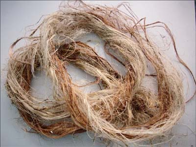 Perbedaan Serat Alami dan Serat Buatan | Materi TIK-PTD