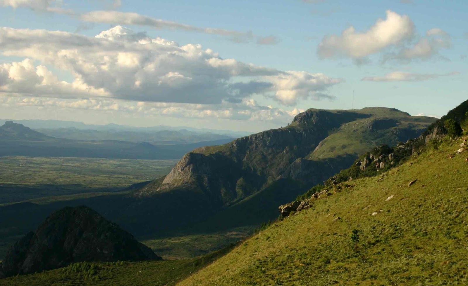 Nyanga