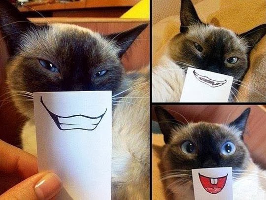 She Who Seeks: HRH and the Word of the Year