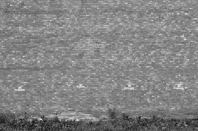 travis markel [photographer]