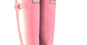 Susan Here There and Everywhere: Posh Wellies