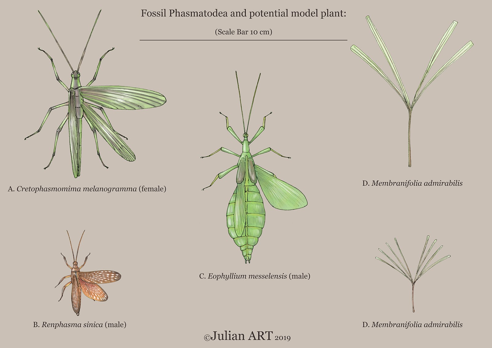Sneaky Flies and Ginkgo Leaves: The Story of Plant Mimesis in Fossil ...
