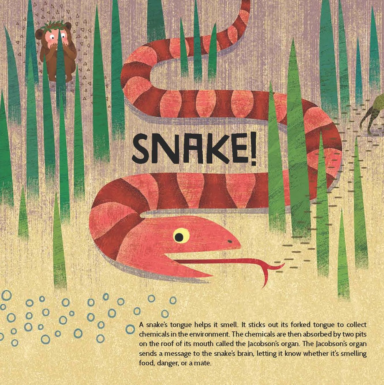 Mrs. Knott's Book Nook: Nonfiction Picture Book Wednesday - Terrific ...