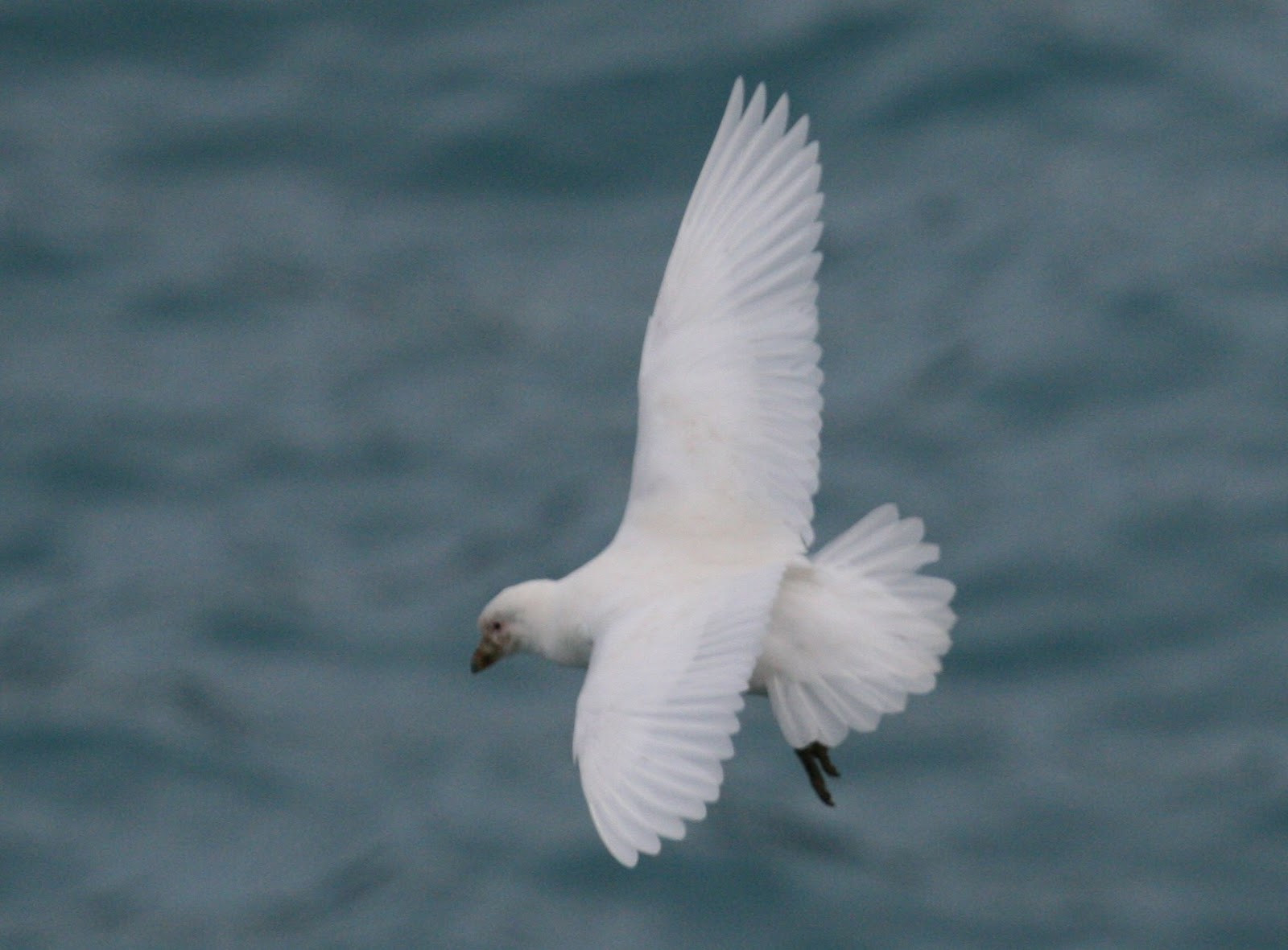 The Bagsy Blog: Sailing - Sutherland Brothers & Quiver