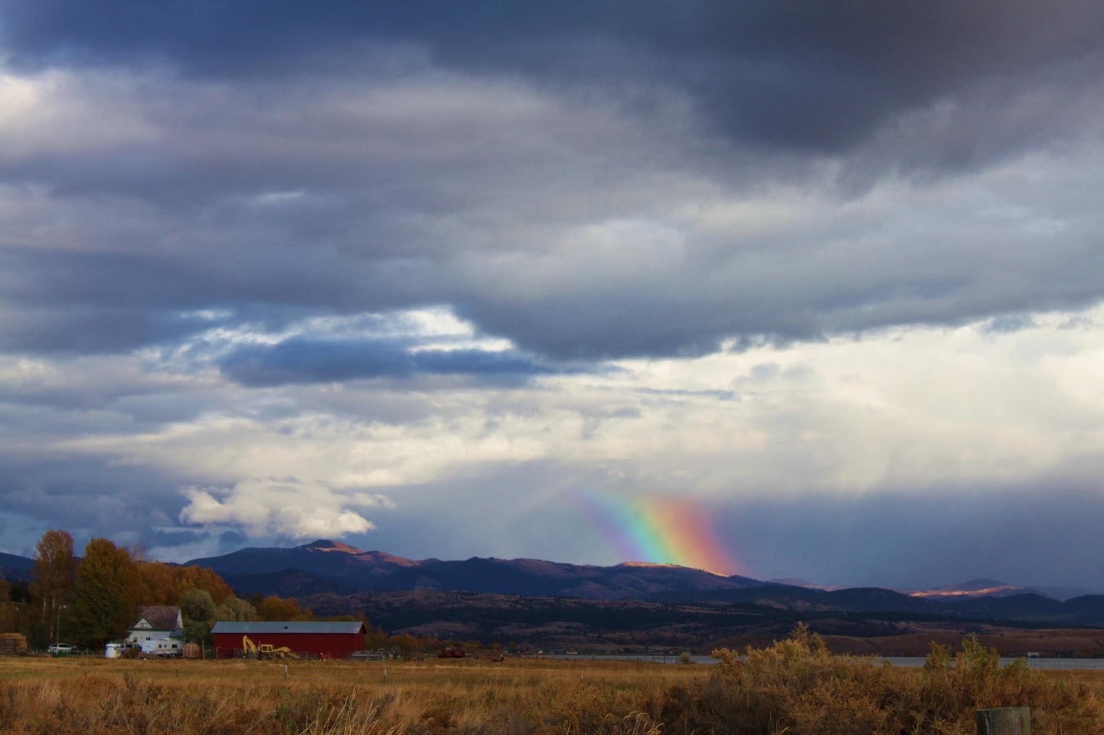 Grains of Sand: Gallery: Photography of Ariel Murphy