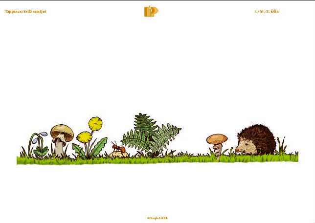 Játékos tanulás és kreativitás: Az erdő szintjei flipbook