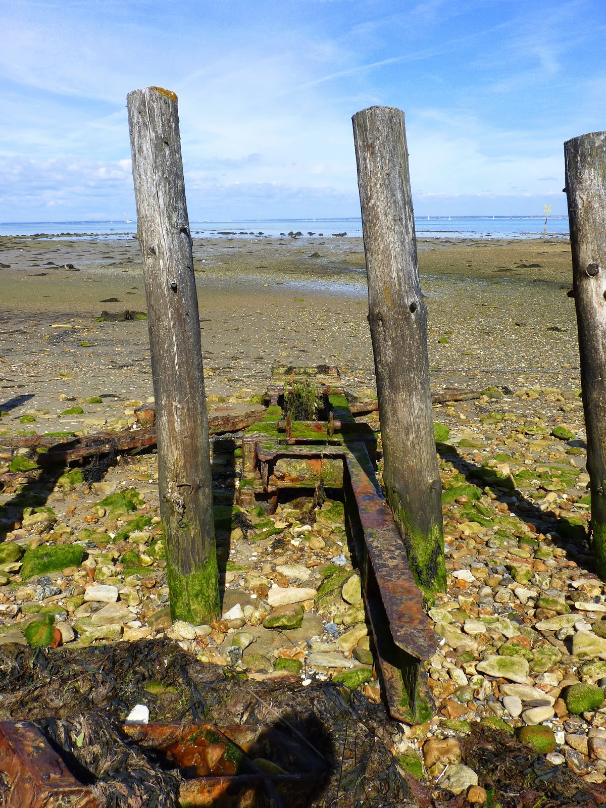 Birding For Pleasure: Birds and Binstead Beach