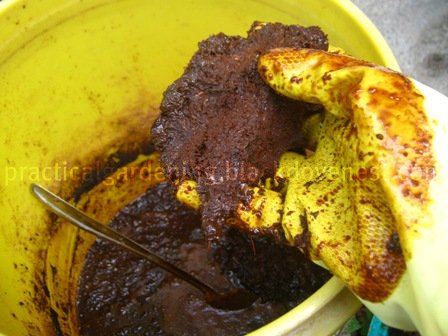 Practical Gardening: Collect Extract Homemade Fish Emulsion