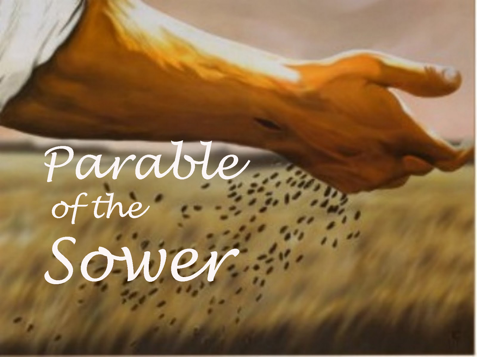 God's Gardener: The Sower's Creed