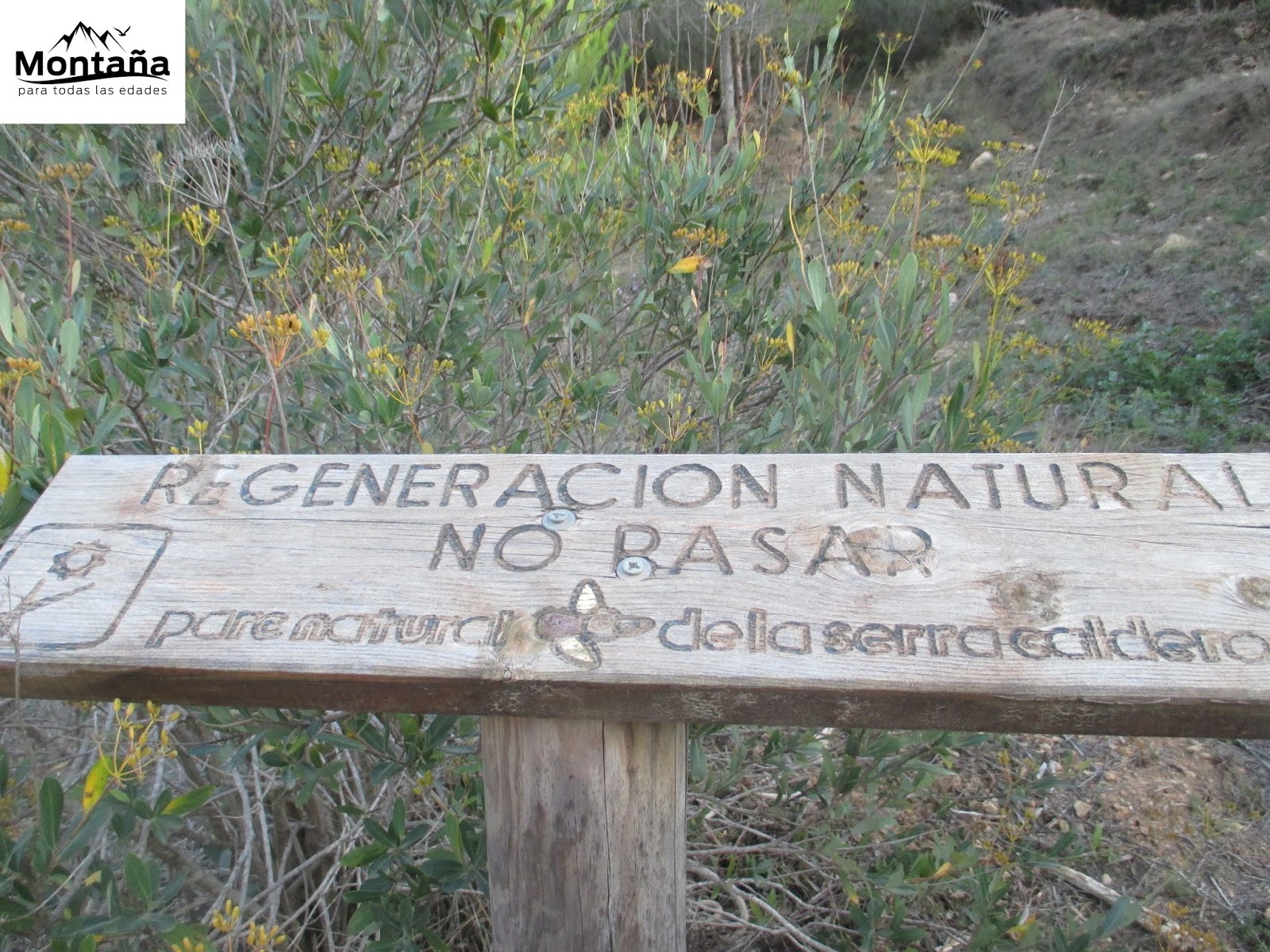 MONTAÑA PARA TODAS LAS EDADES: Circular a Rebalsadors (Serra - Valencia ...
