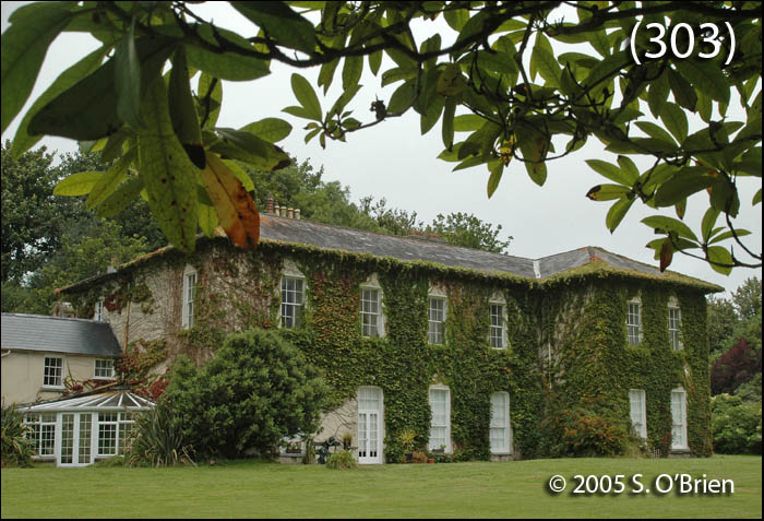 Portlaw: THE PORTLAW MORLEYS