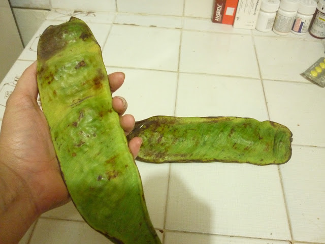 commuNICA: Fruits of the day: guava and guaba