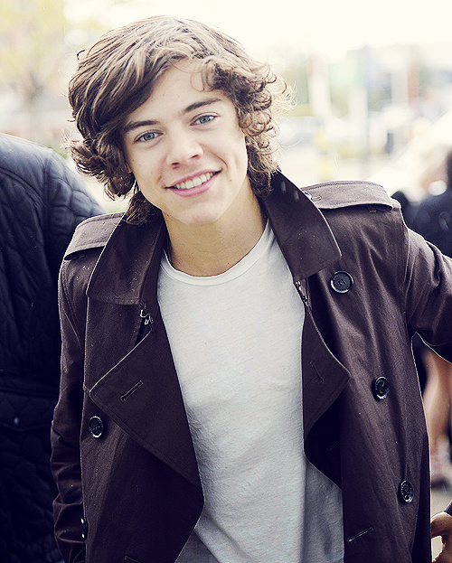 One Direction : Conoce a One Direction