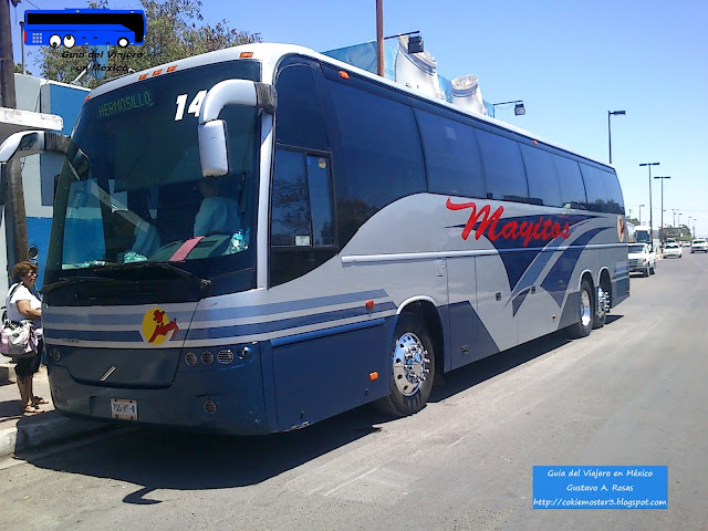 Autobuses Mayitos