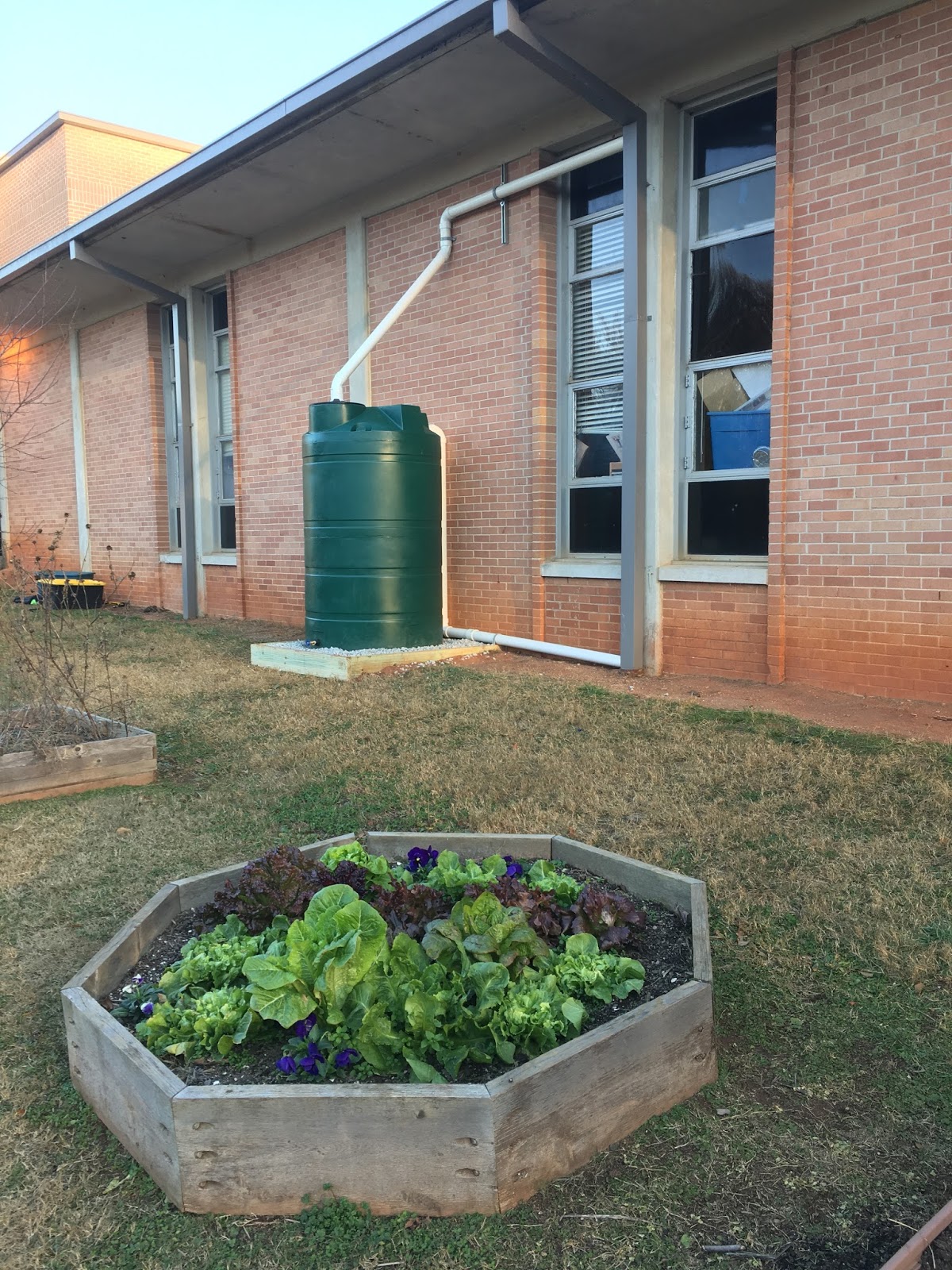 Georgia Water Tanks Blog: Rainwater Harvesting for Community Gardens