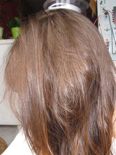 Le journal capillaire d'Audrey : des cheveux, une pousse, des soins ...