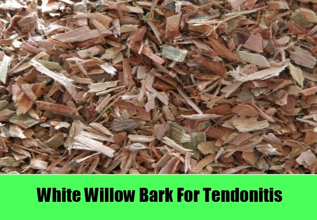 White Willow Bark Tea Benefits ~ Healthy Tea 101