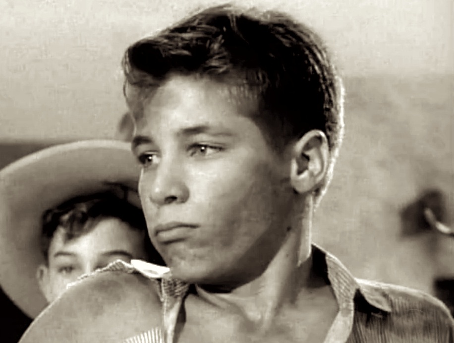 A VERY LUSH BUDGET: DON GRADY TRIBUTE : Tribute to Robbie of MY THREE ...