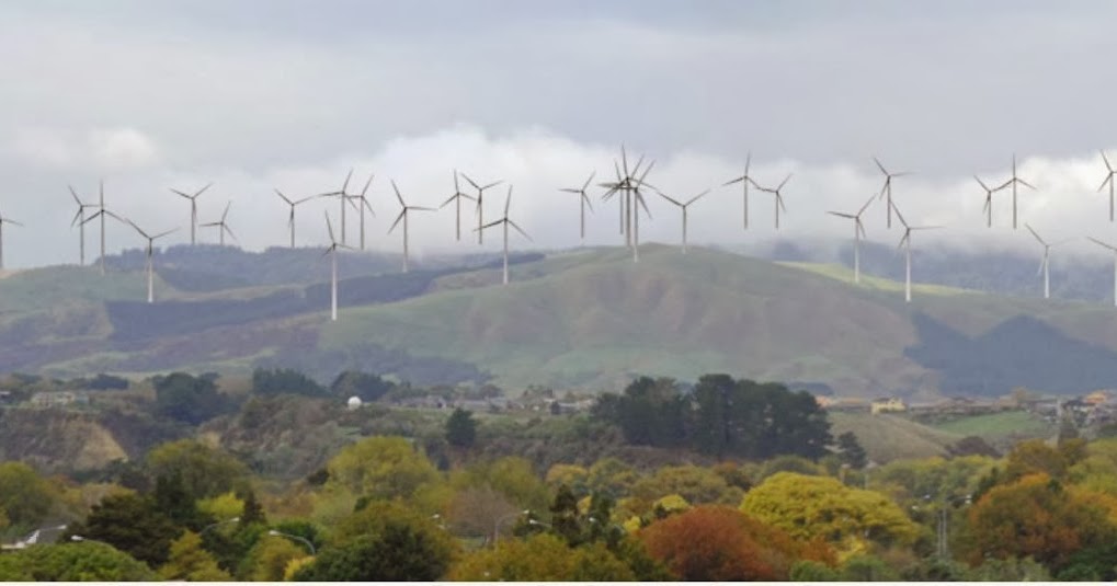 Palmerston North.info: The Truth is Out............... “The only thing ...