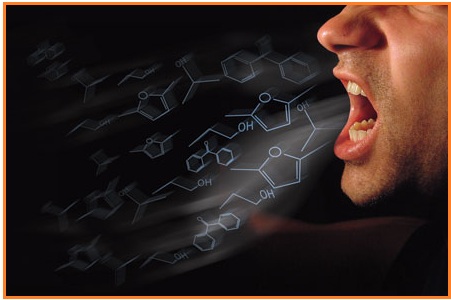 BIOLOGI GONZAGA: UDARA PERNAFASAN