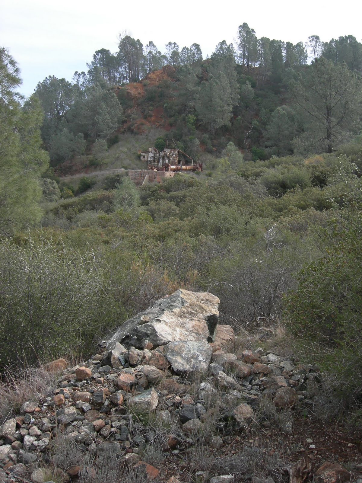 Eclectic Arcania: Rinconada Trail Hike 2011