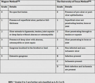 hEiDiMatEs - MeDICinE: Diabetic foot ulcer (DFU) - Classification ...