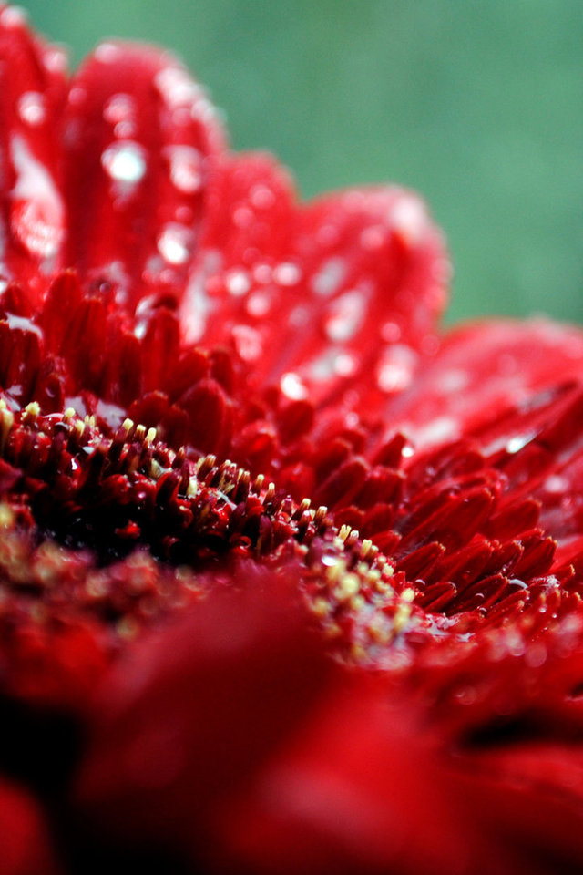 Tears of a Fallen Angel....: Chinese Legend of The Red String of Fate