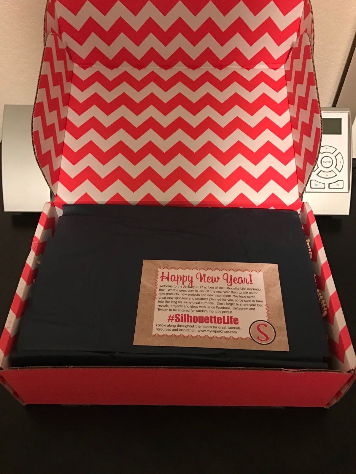 Judianne: Subscription Box: Silhouette Life Inspiration Box