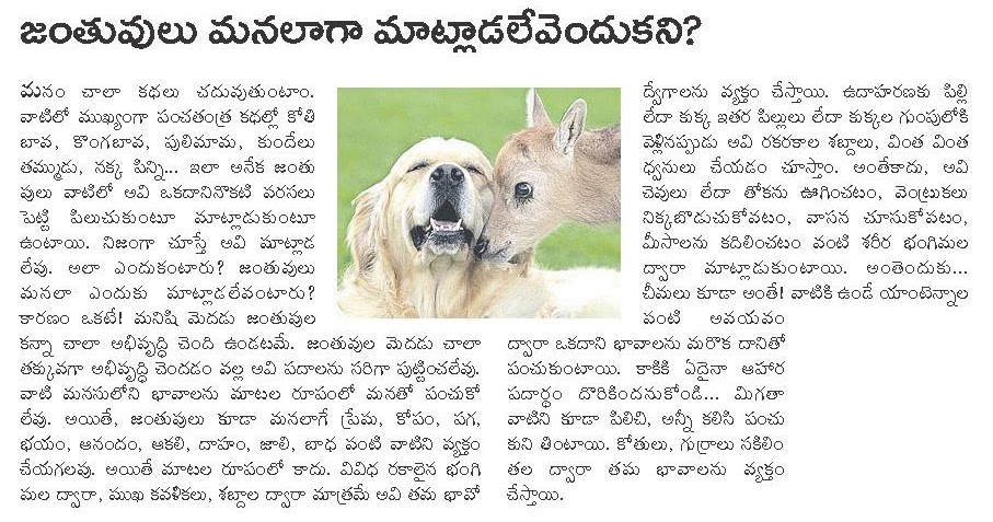 Patamata Praneel: SCIENTIFIC REASON - WHY ANIMALS CANNOT TALK LIKE HUMANS