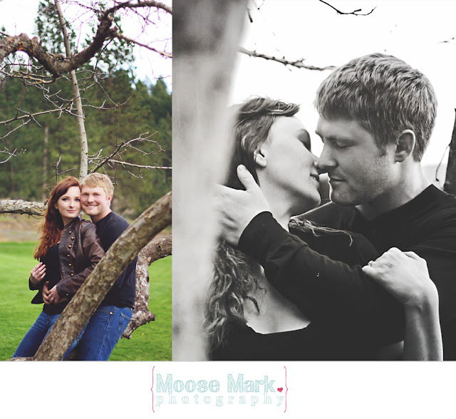 Moose Mark Photography