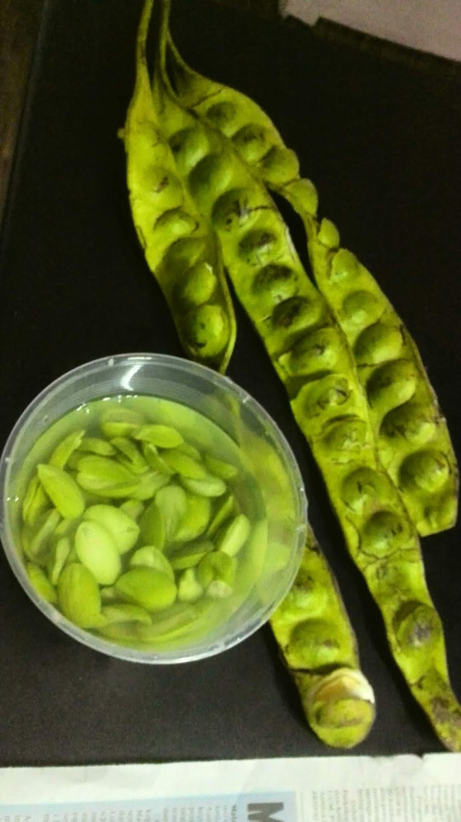 namakucella: NASI GORENG PETAI CILI PADI