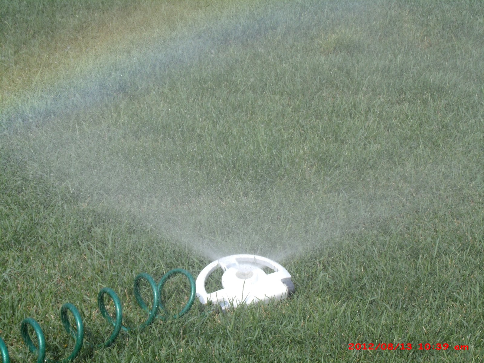 A Lucky Ladybug: Pure Rain Watering Essentials Review and Giveaway