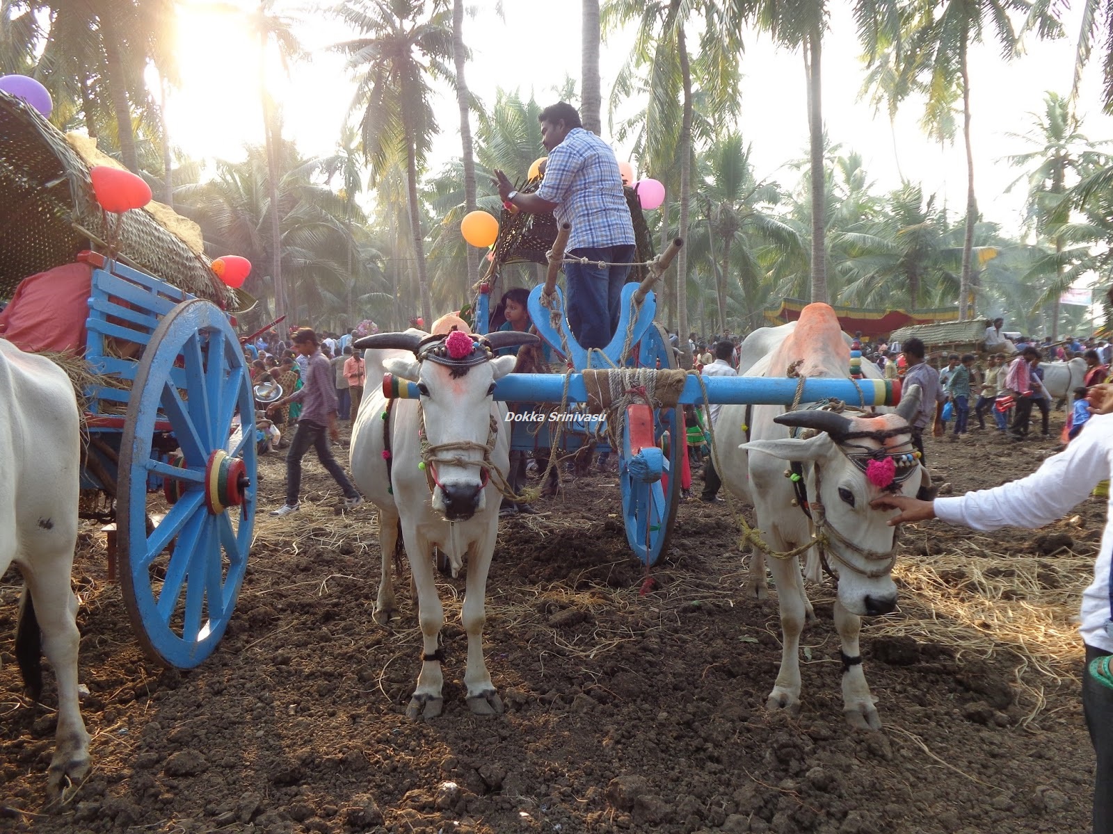Heritage of India: Prabhala Teertham (Prabhala Utsavam or Prabhala ...