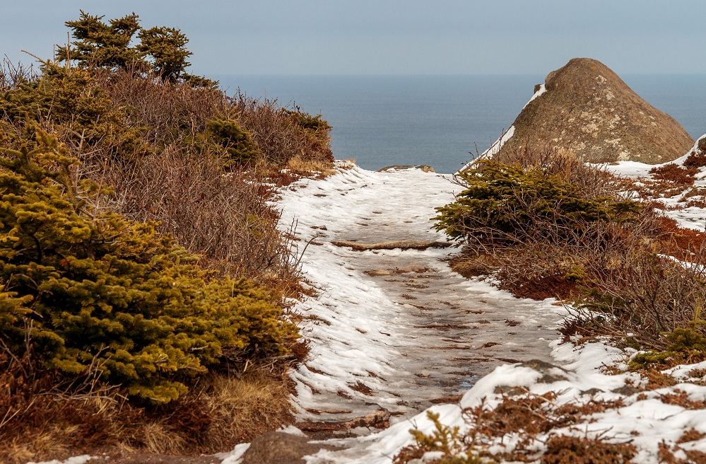 Bitstop: Torbay Point