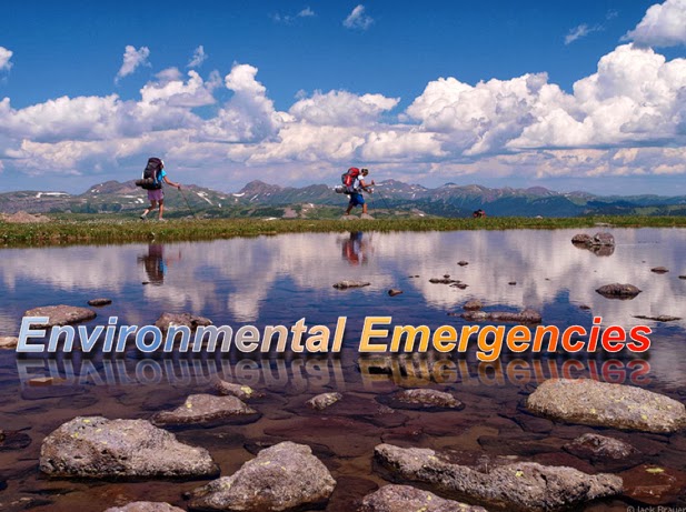 the PA Corner: Environmental Emergencies