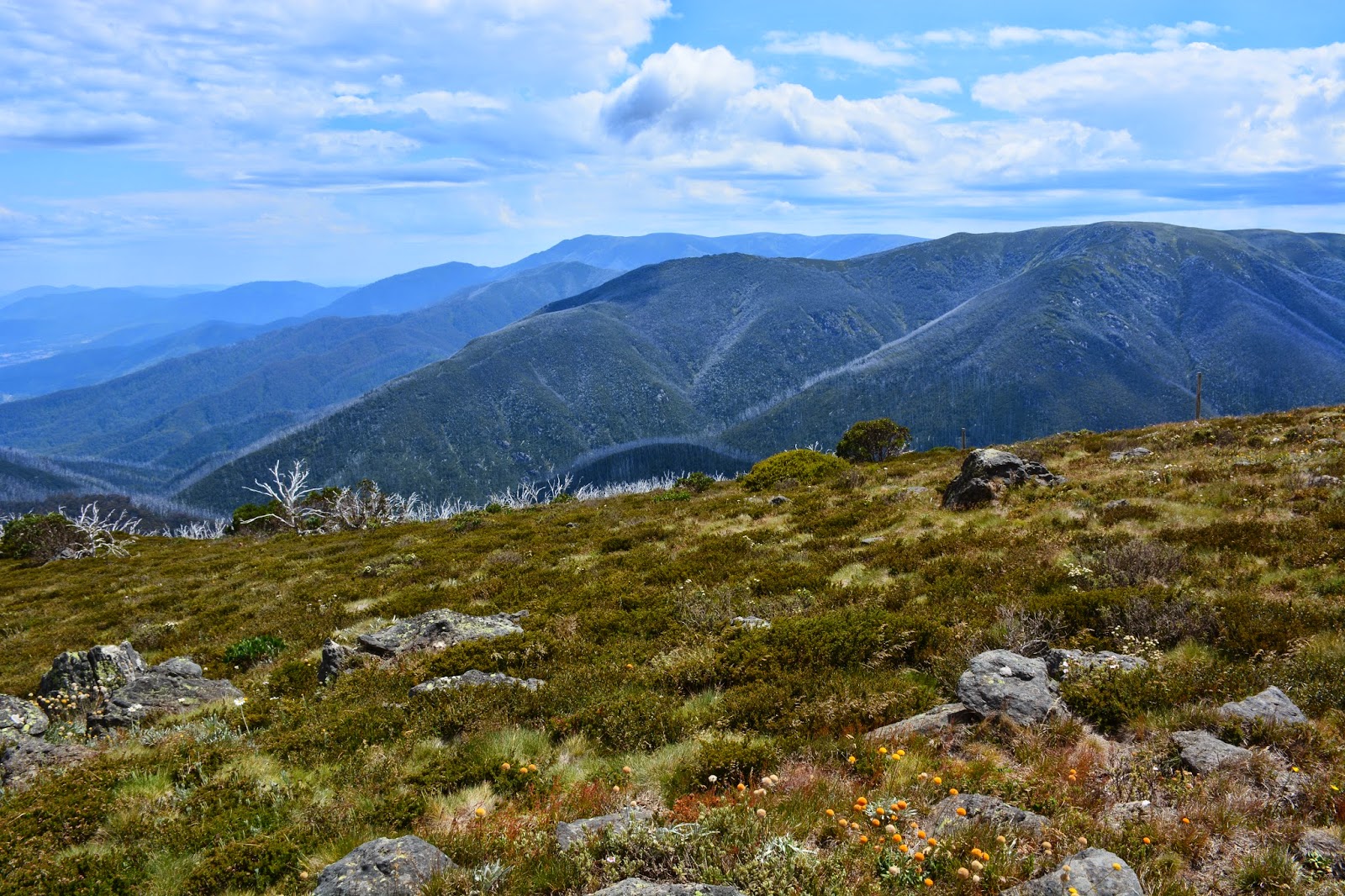 walkabouters club of victoria inc: Falls Creek Summer Camp - Frying Pan ...