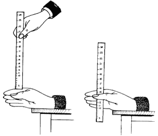 Ang Philippine Physical Activity Pyramid Guide para sa Batang Pilipino ...