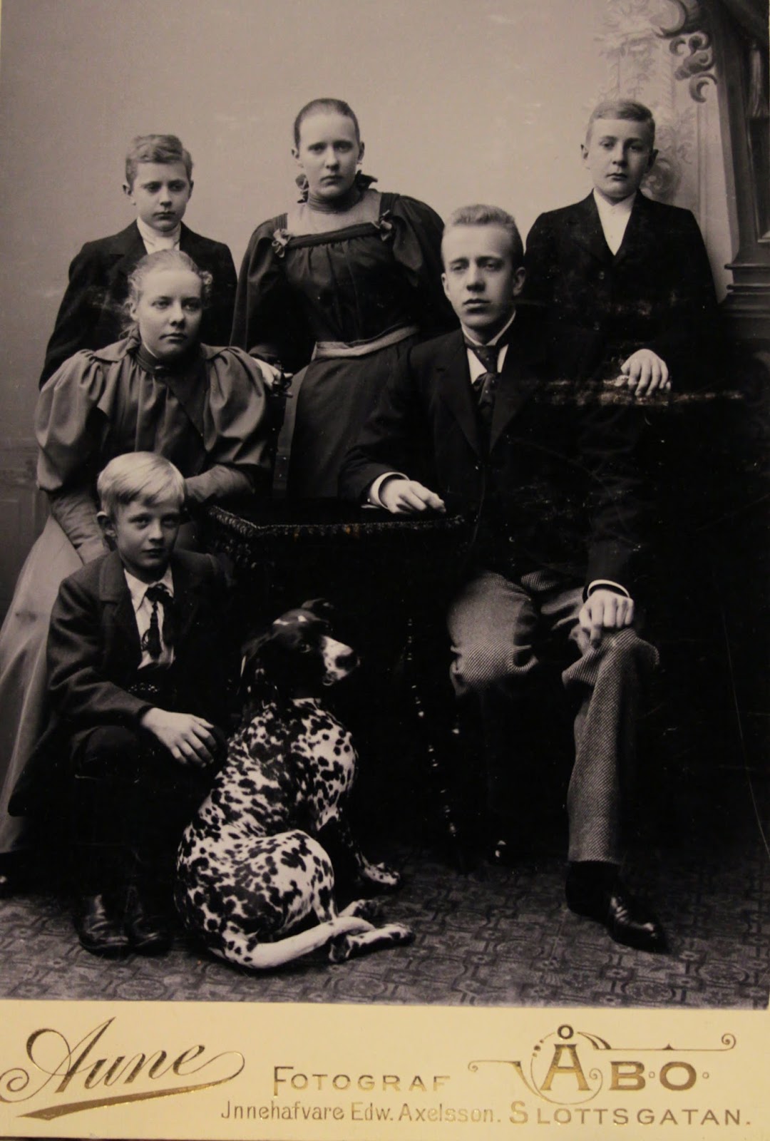 Teräsvillan pumit: 2016