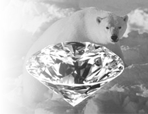 Total Wealth: Why Canadian Polar Bear Diamonds Are a Good Investment