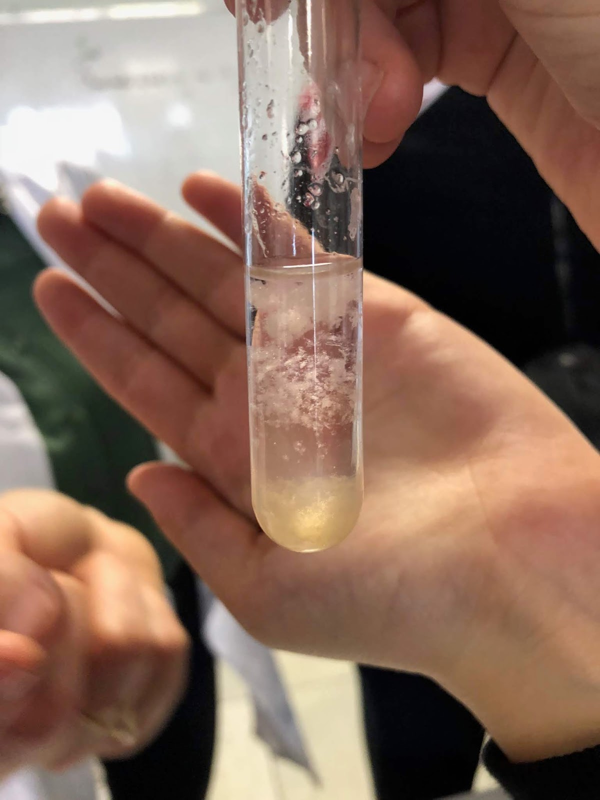 Pyet Një " Biolog ": Ekstraktimi I AND-së nga frutat.