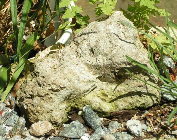 BARROW WORKS: Homemade Hypertufa Rocks