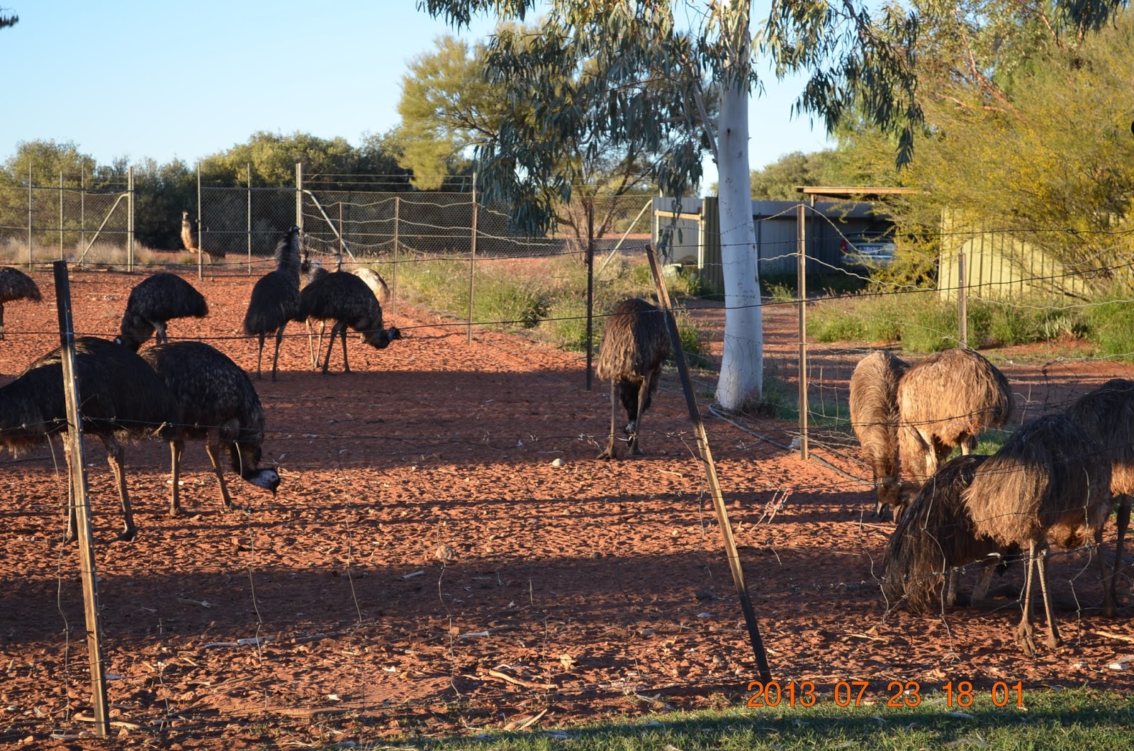 Central outback Australia: Erldunda