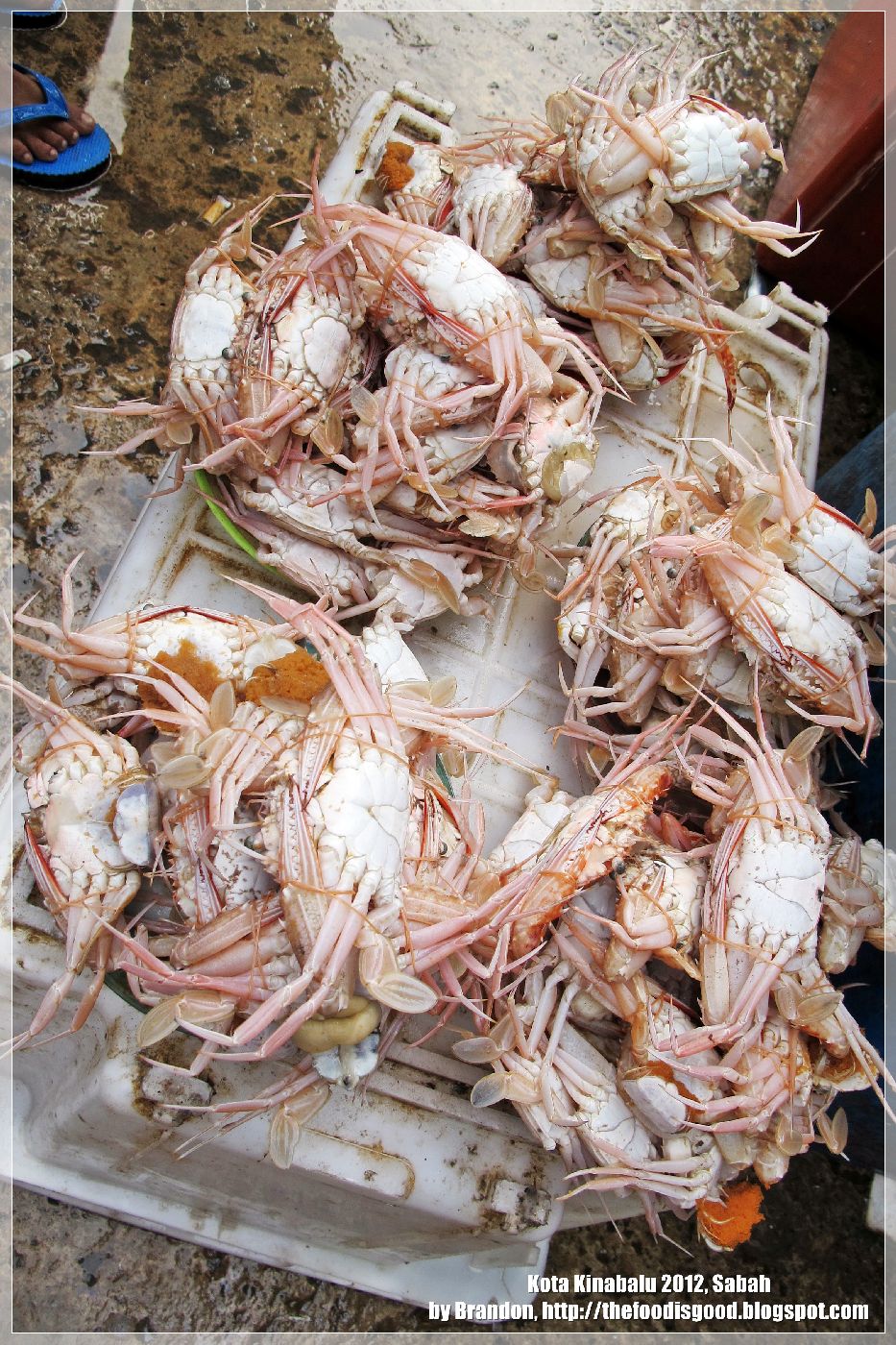 My LIFE, Food & Travel Experience ~ Malaysia, Taiwan & the World: Trip ...