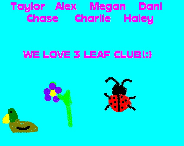 3 leaf club