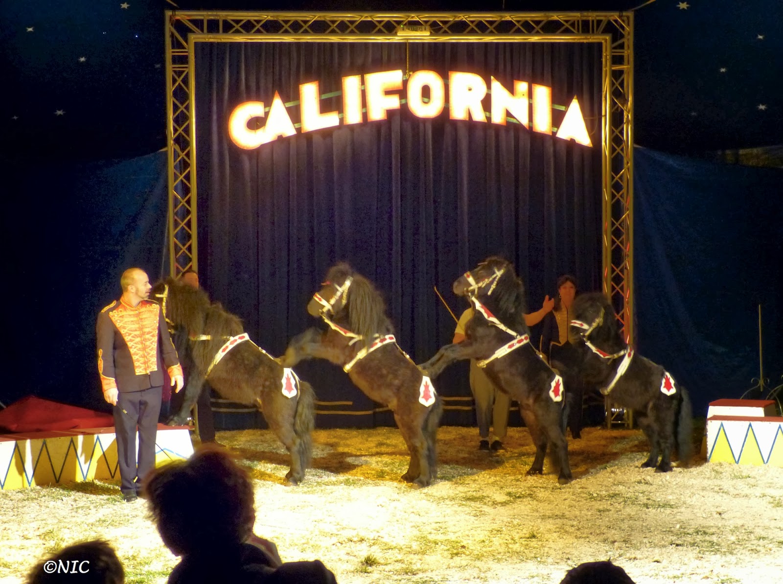 Norberts Internationale Circuswelt: Circus California "Impressionen von ...