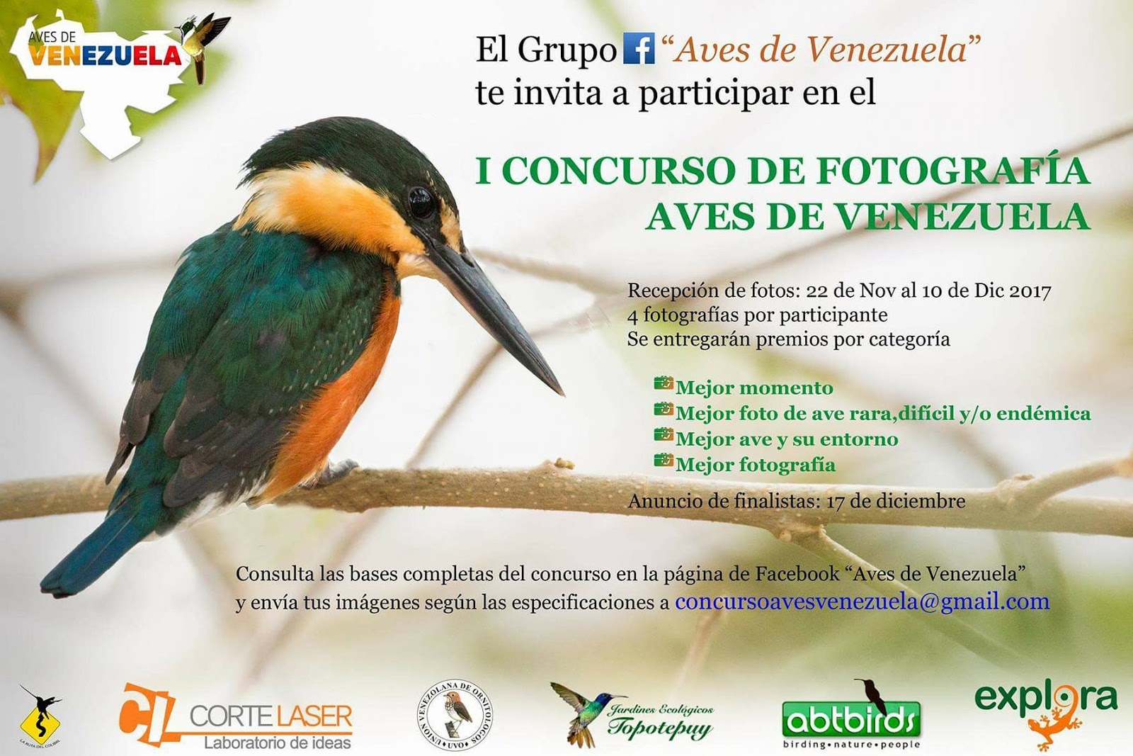 Siempre Verde Venezuela: 1er Concurso de Fotografía Aves de Venezuela