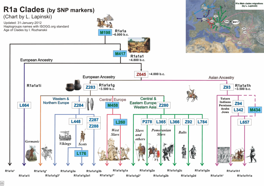 Abbey: R1a1a Tree by L. Lapinski (31.01.2012)